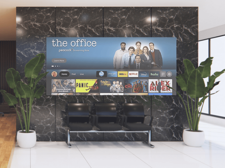 Business TV/Video Services